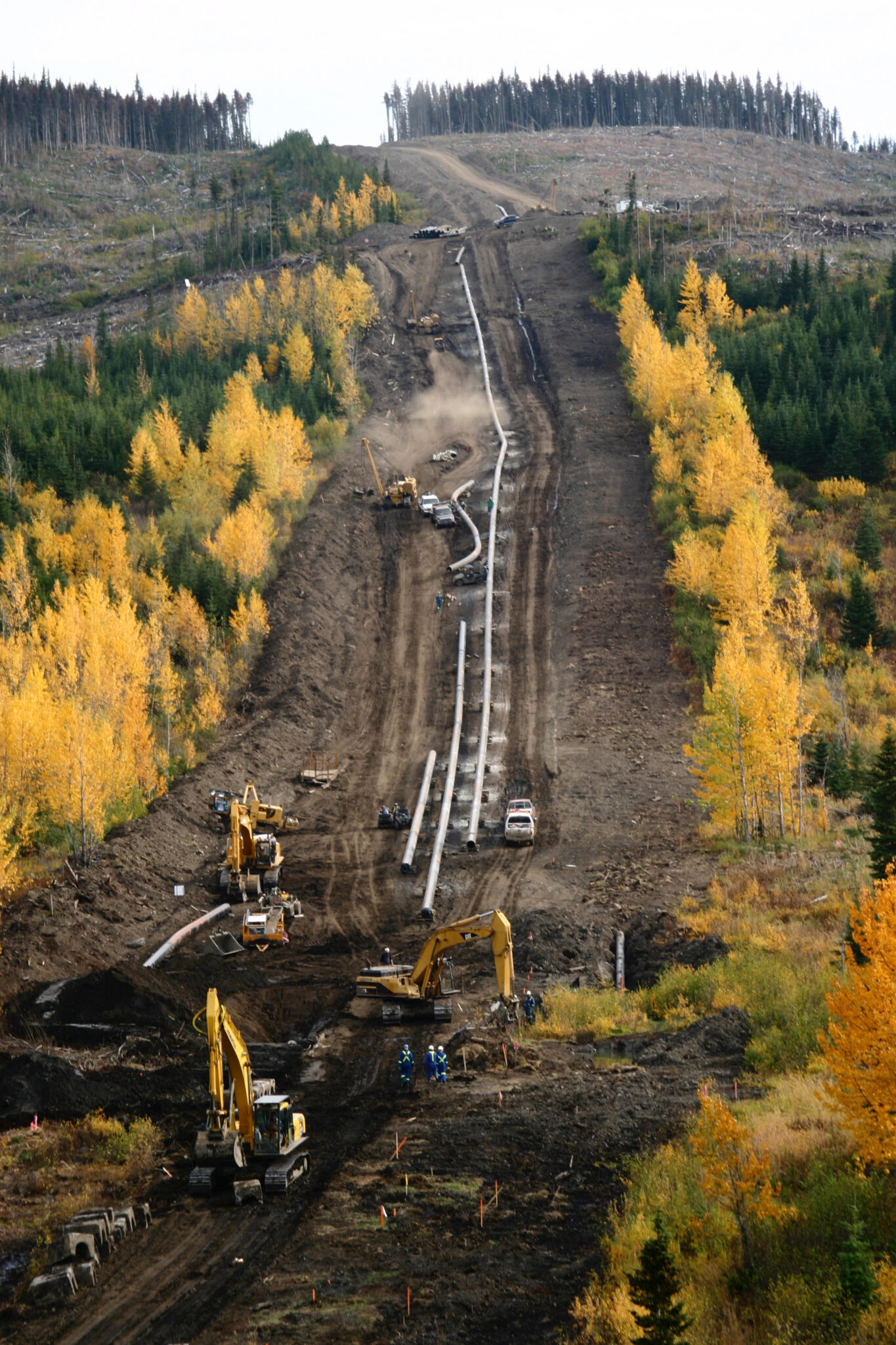 Who We Are - About Us